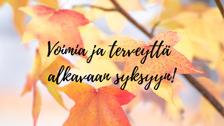 Syksyn ensimmäinen uutiskirje | Luetaan yhdessä